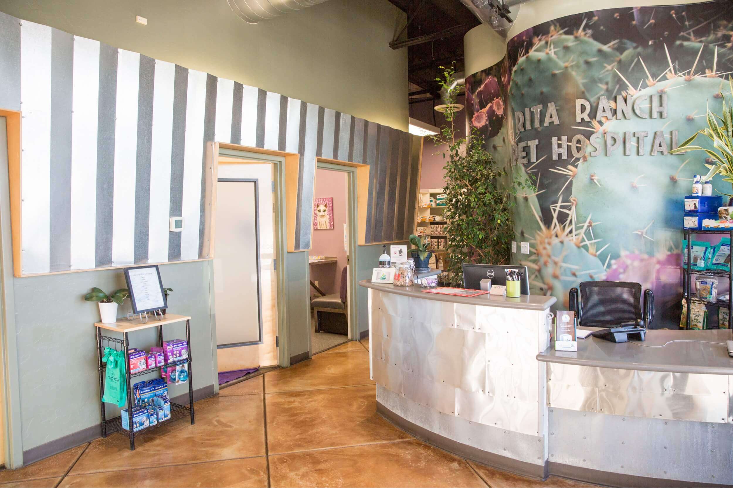 Tucson Veterinarians - Rita Ranch Pet Hospital